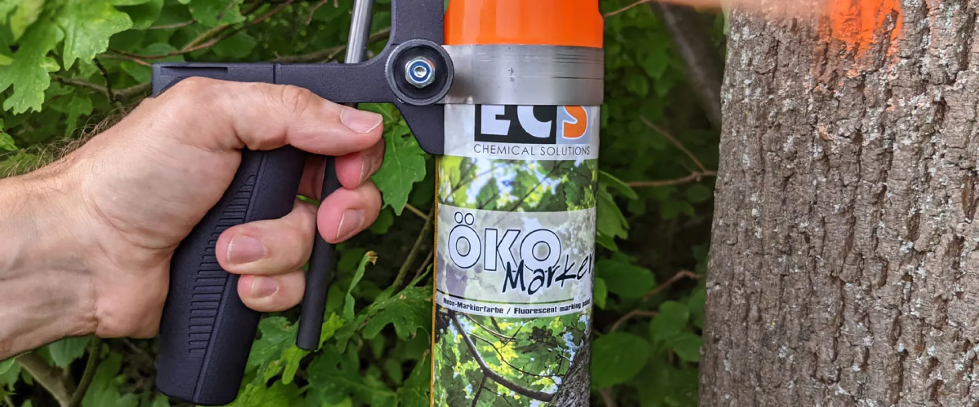 ECS :: Chemical Solutions